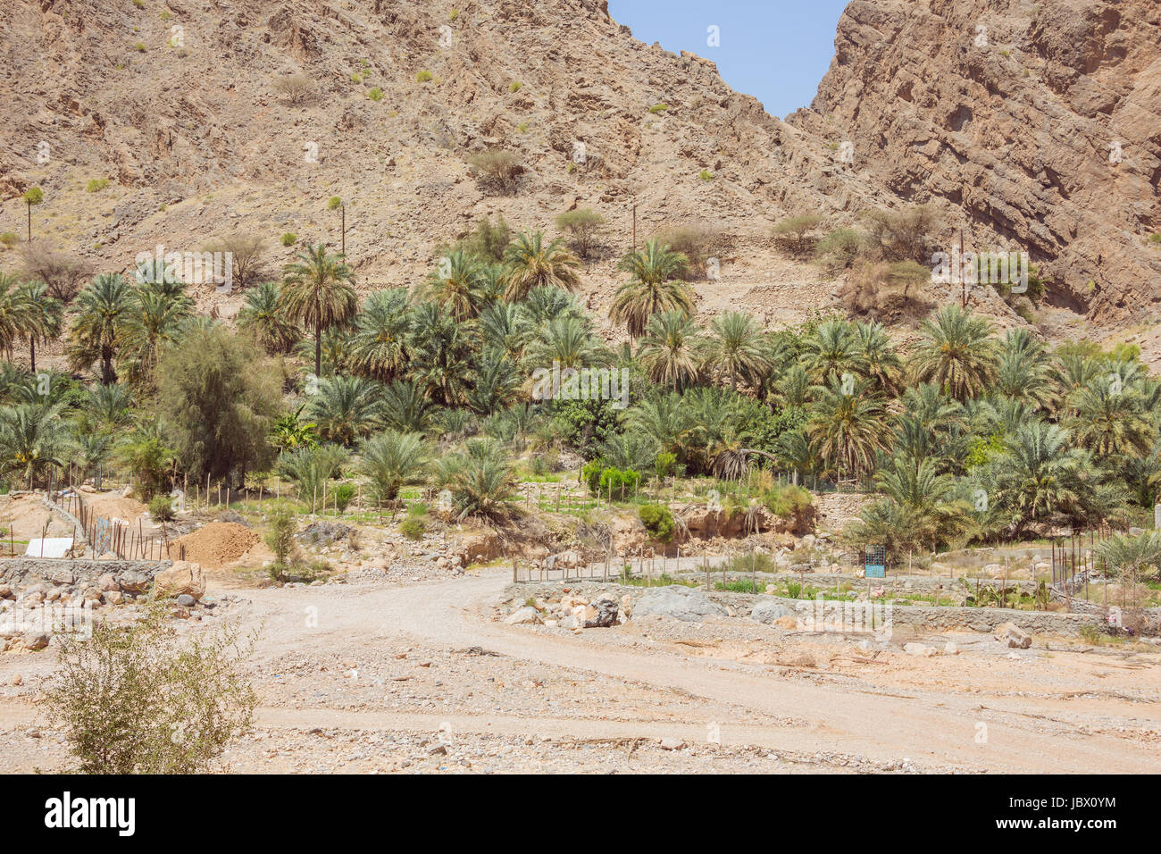 Middle east oasis hi-res stock photography and images - Alamy