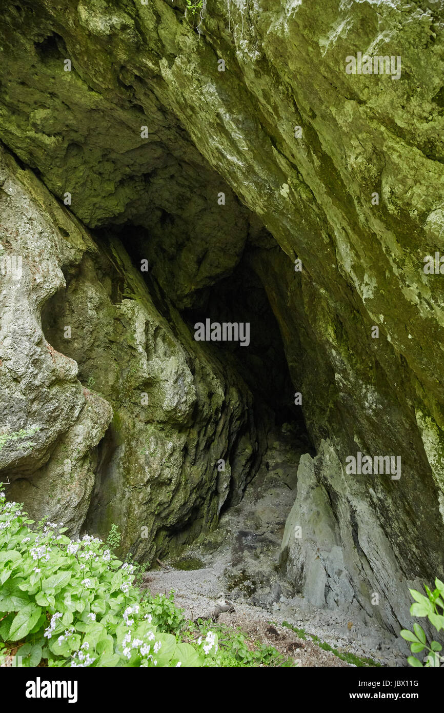 Entrance of a huge cave in the limestone mountains Stock Photo - Alamy