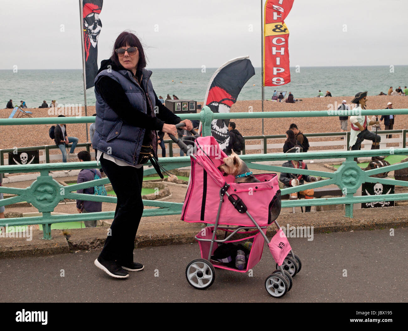 Taking the dog out in a children's pushchair on the Brighton seafront ...