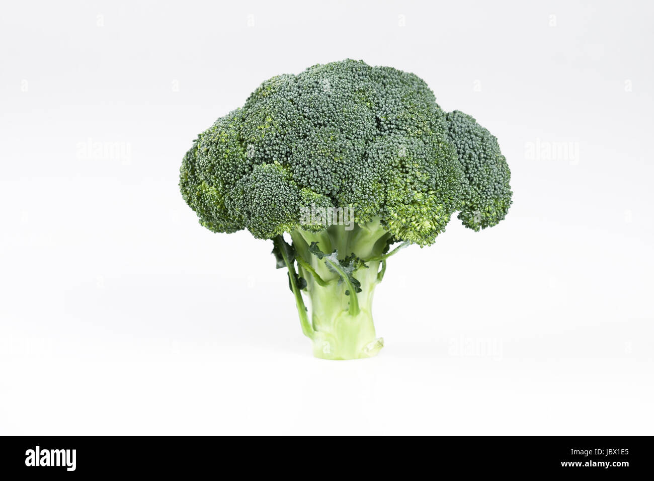 Fresh single ripe broccoli isolated on white background Stock Photo - Alamy
