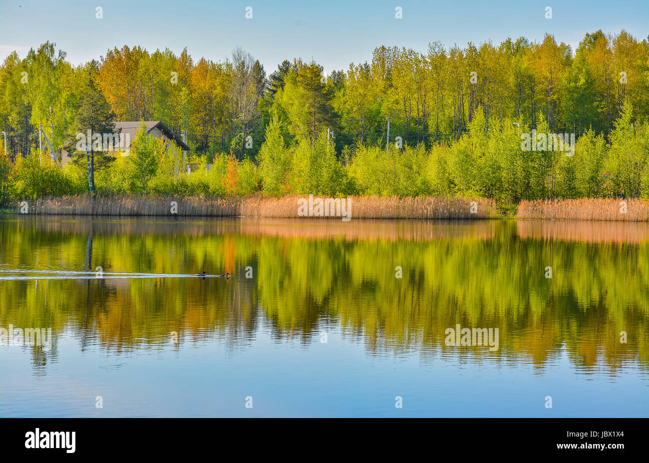 Morning reflection on a Sunny morning Stock Photo - Alamy