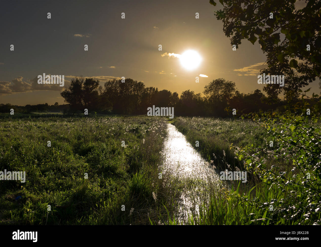 water meadow dyke Stock Photo - Alamy