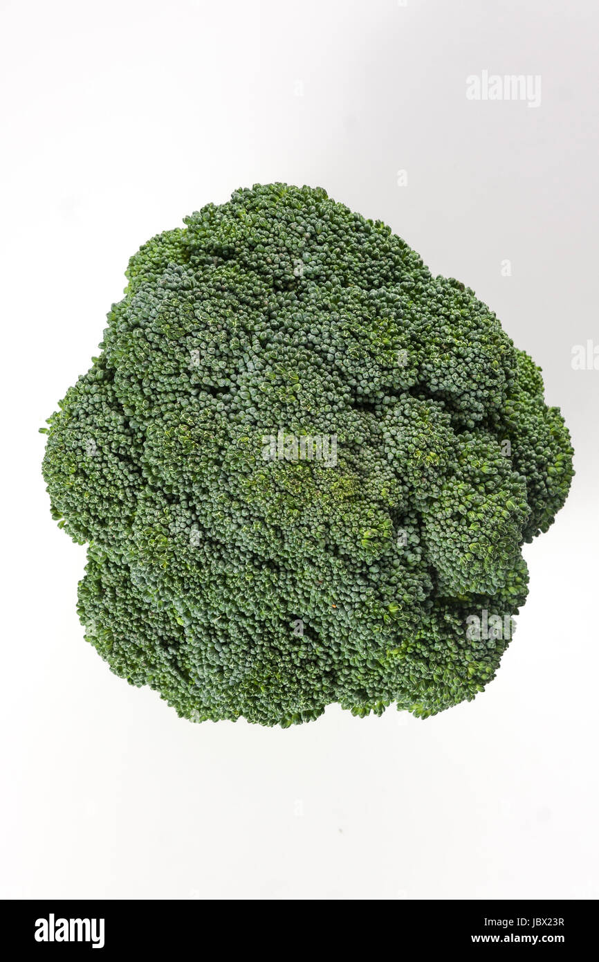 Single broccoli hi-res stock photography and images - Alamy