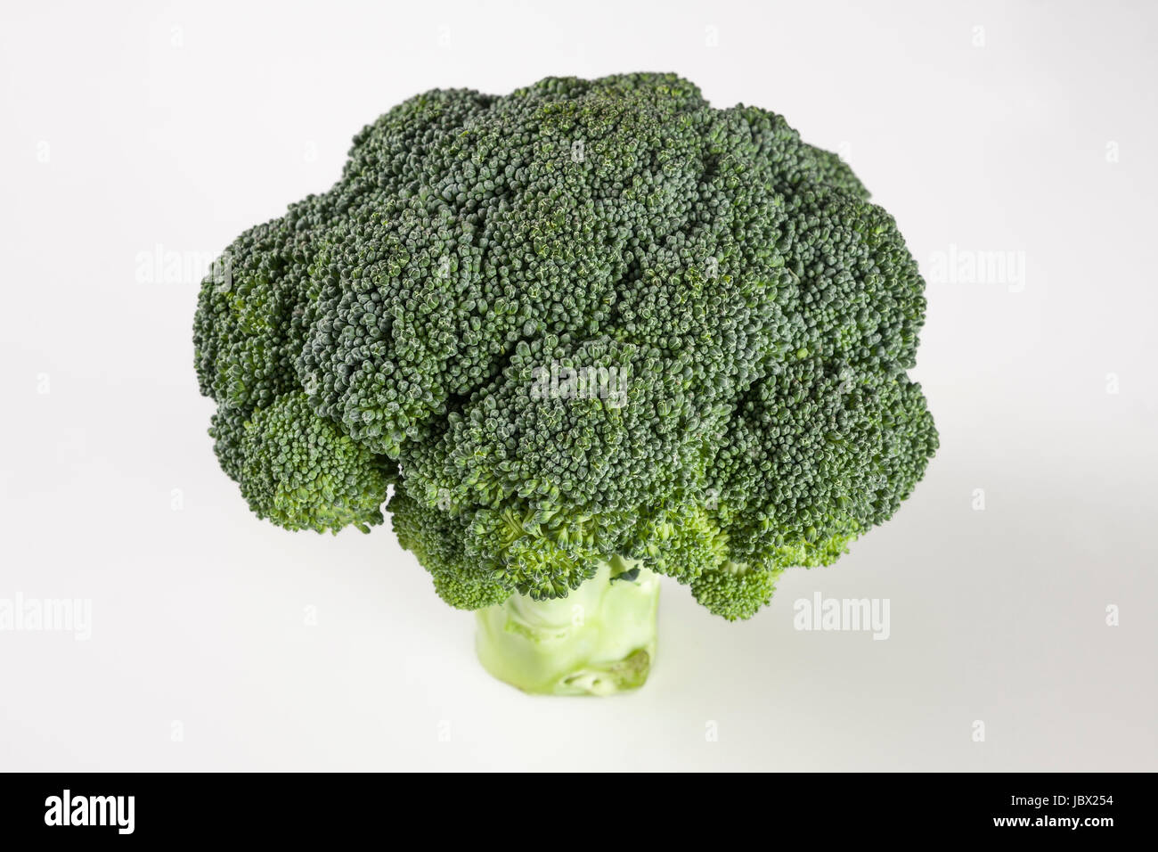 Fresh single ripe broccoli isolated on white background Stock Photo - Alamy