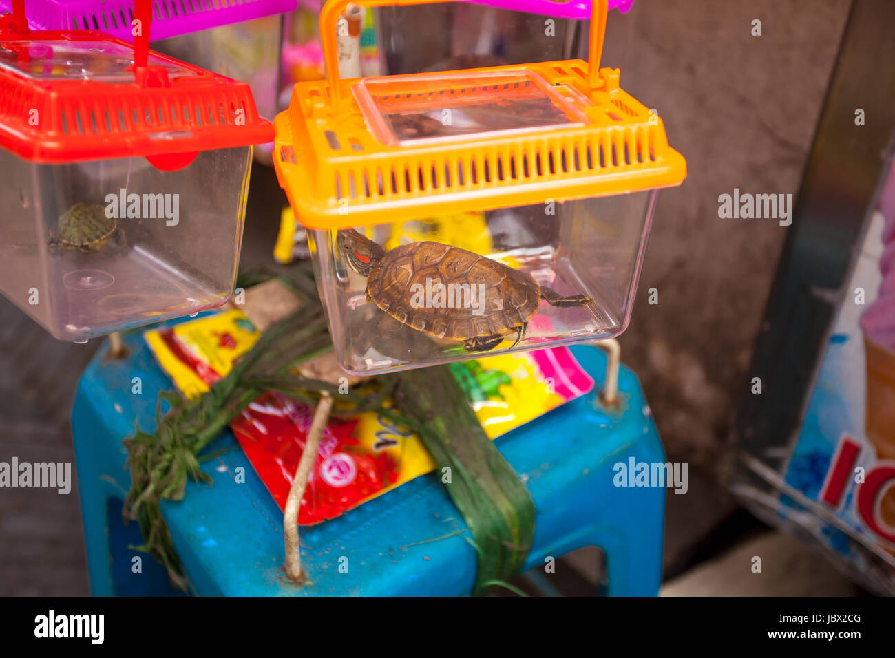 pet trade in shanghai Stock Photo - Alamy