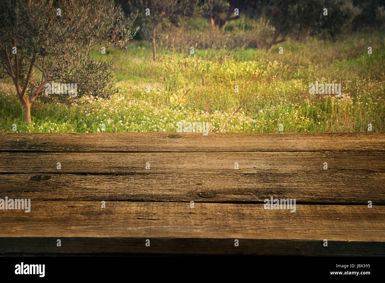 Olive orchard decoration hi-res stock photography and images - Alamy