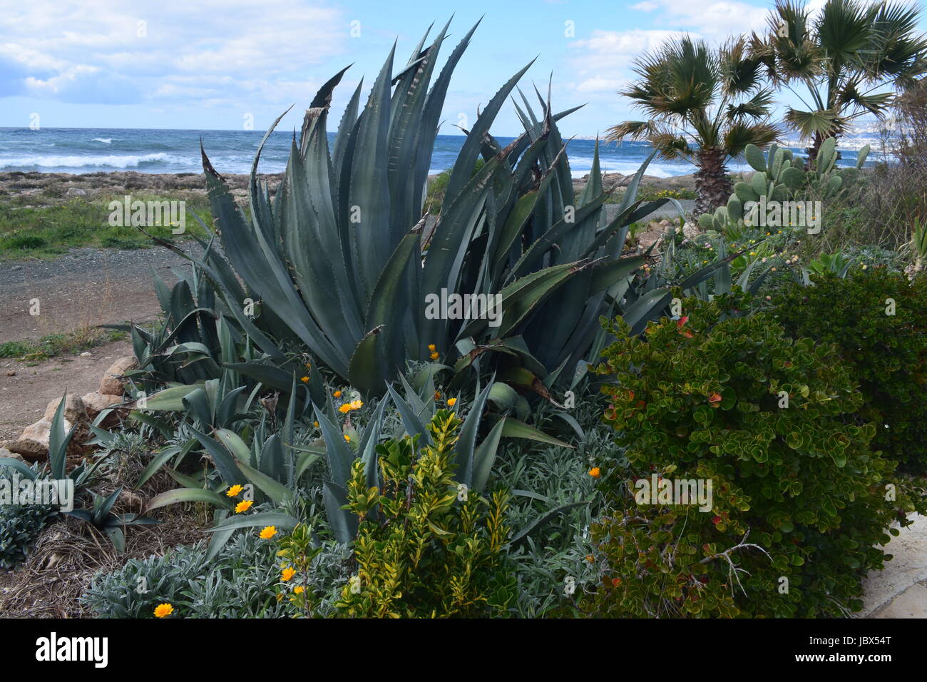 Life at the seaside hi-res stock photography and images - Alamy