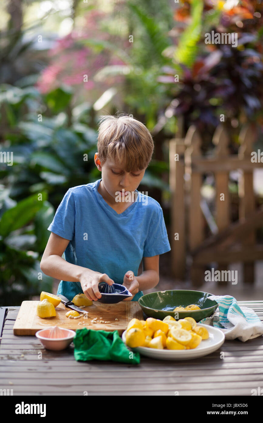 Boy preparing lemons for lemonade at garden table Stock Photo - Alamy