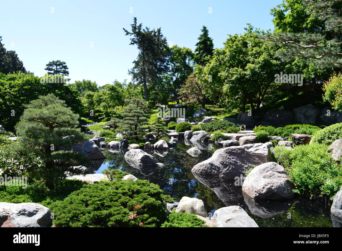 Japanese garden during the summer Stock Photo - Alamy