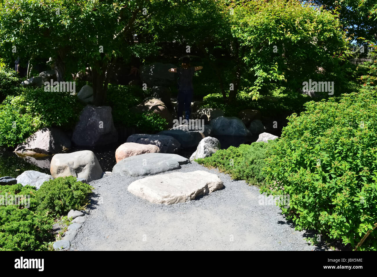 Japanese garden during the summer Stock Photo - Alamy