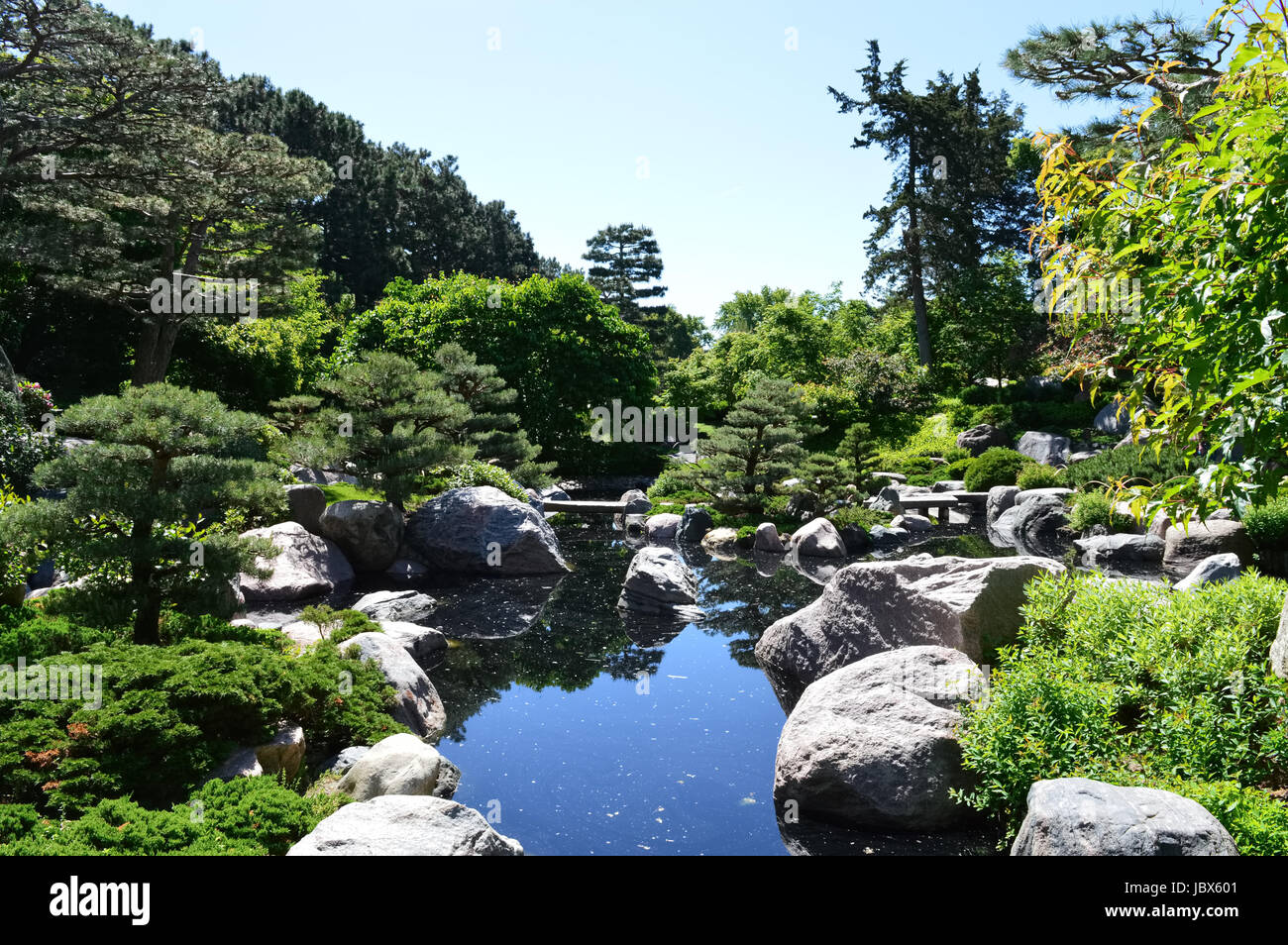 Japanese garden during the summer Stock Photo - Alamy