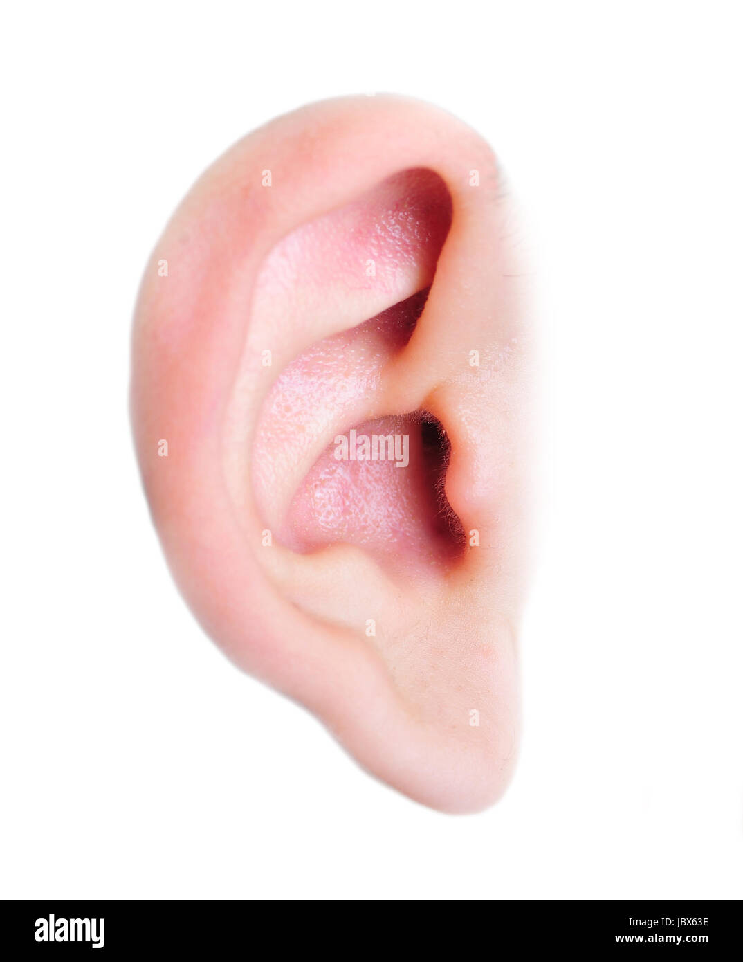 Lobe ears hi-res stock photography and images - Alamy