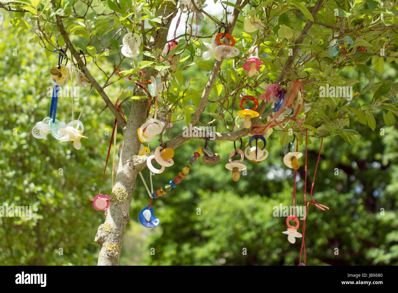 Custom pacifier hi-res stock photography and images - Alamy