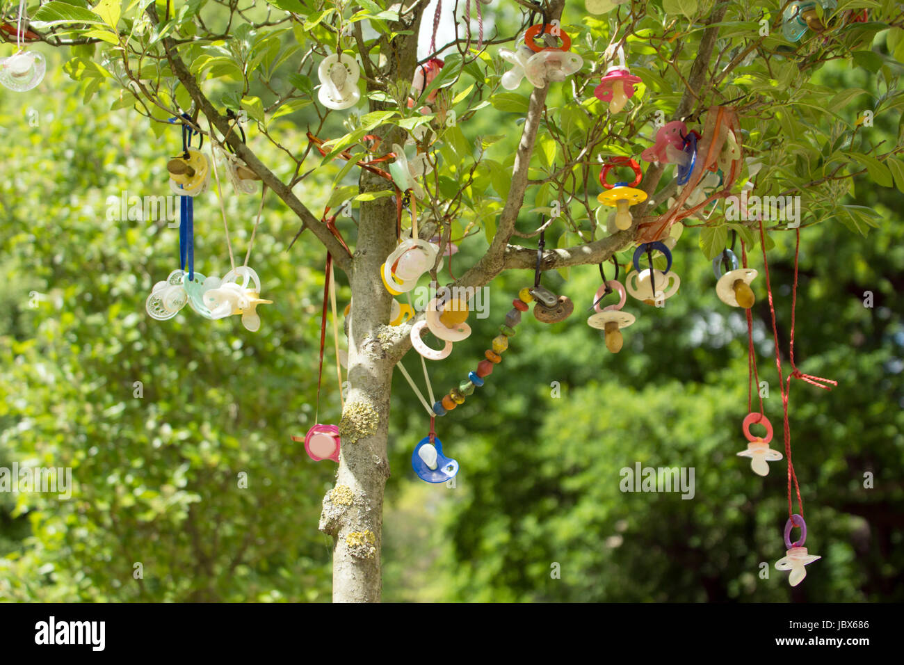 Custom pacifier hi-res stock photography and images - Alamy