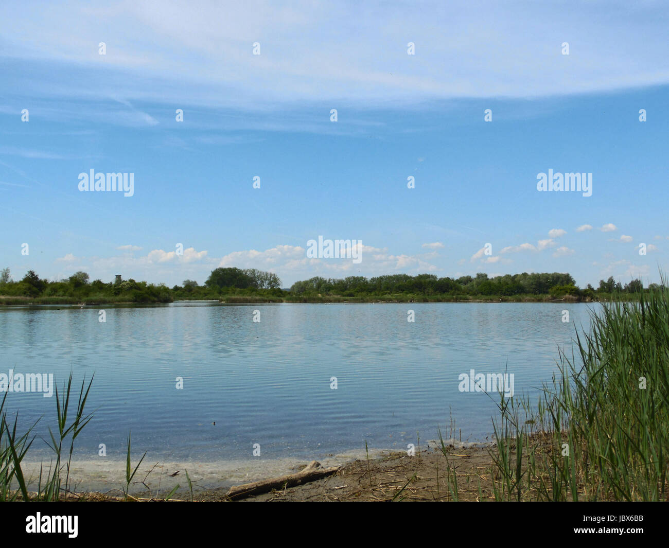 conservation at the pond Stock Photo - Alamy
