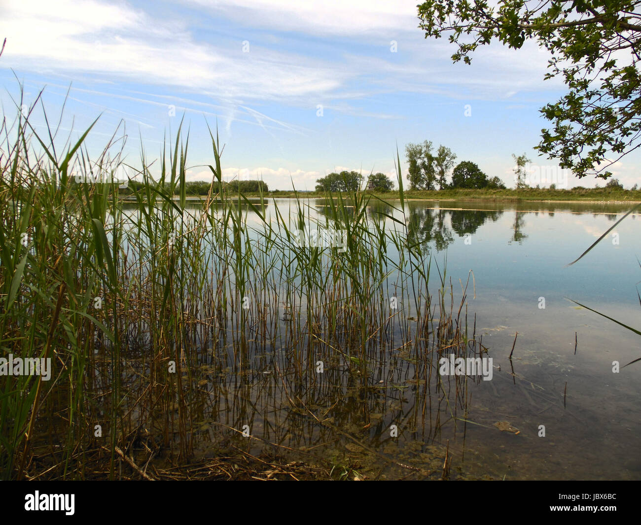 Reed bank zone hi-res stock photography and images - Alamy