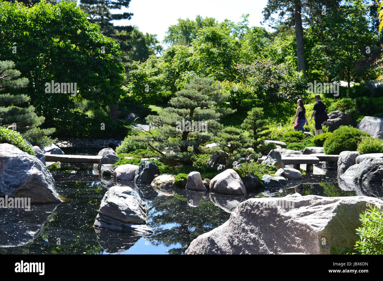 Japanese garden during the summer Stock Photo - Alamy