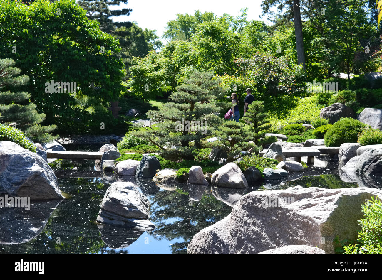 Japanese garden during the summer Stock Photo - Alamy