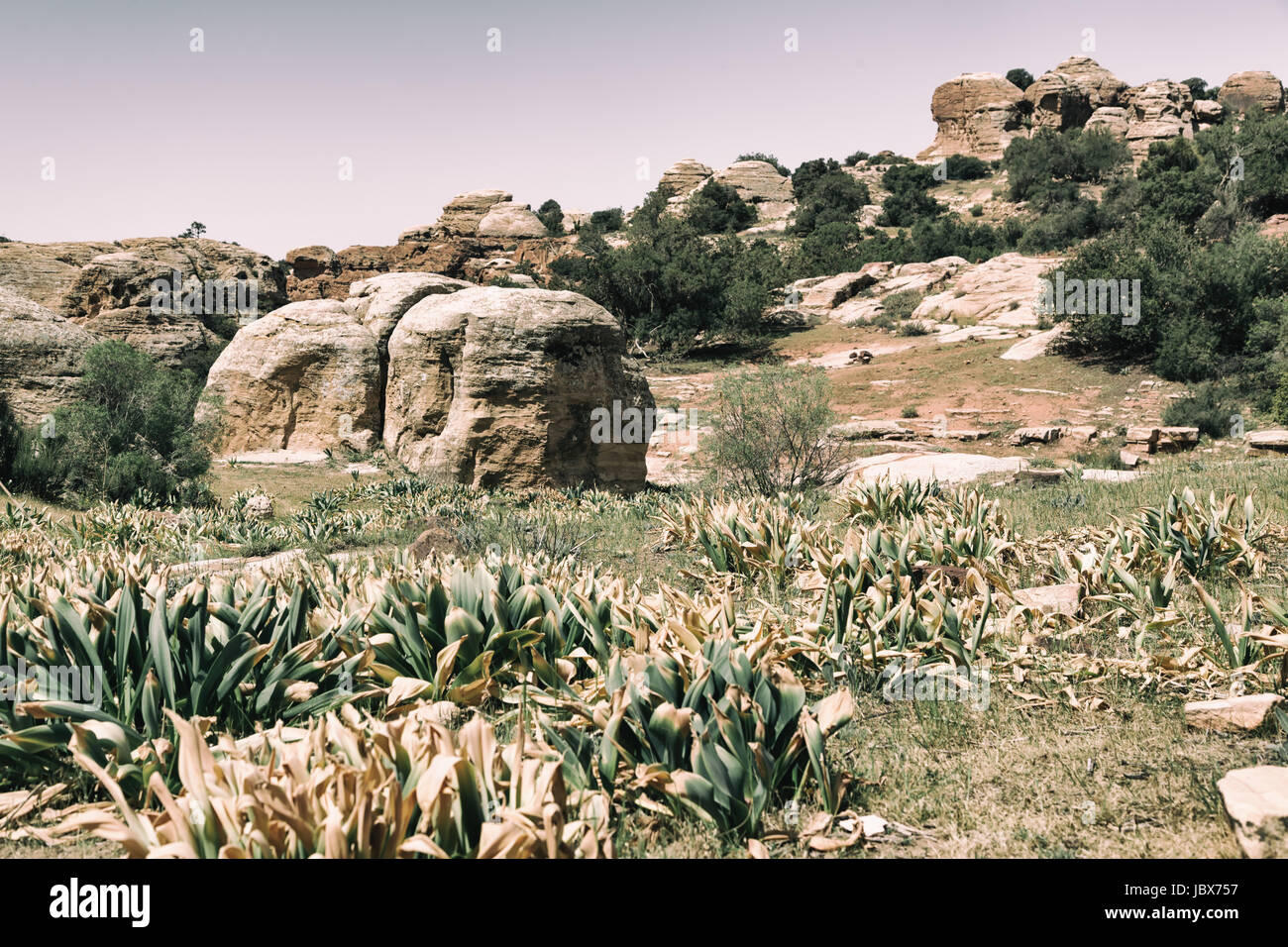in jordan the scenic valley of dana natural reserve for walking Stock ...