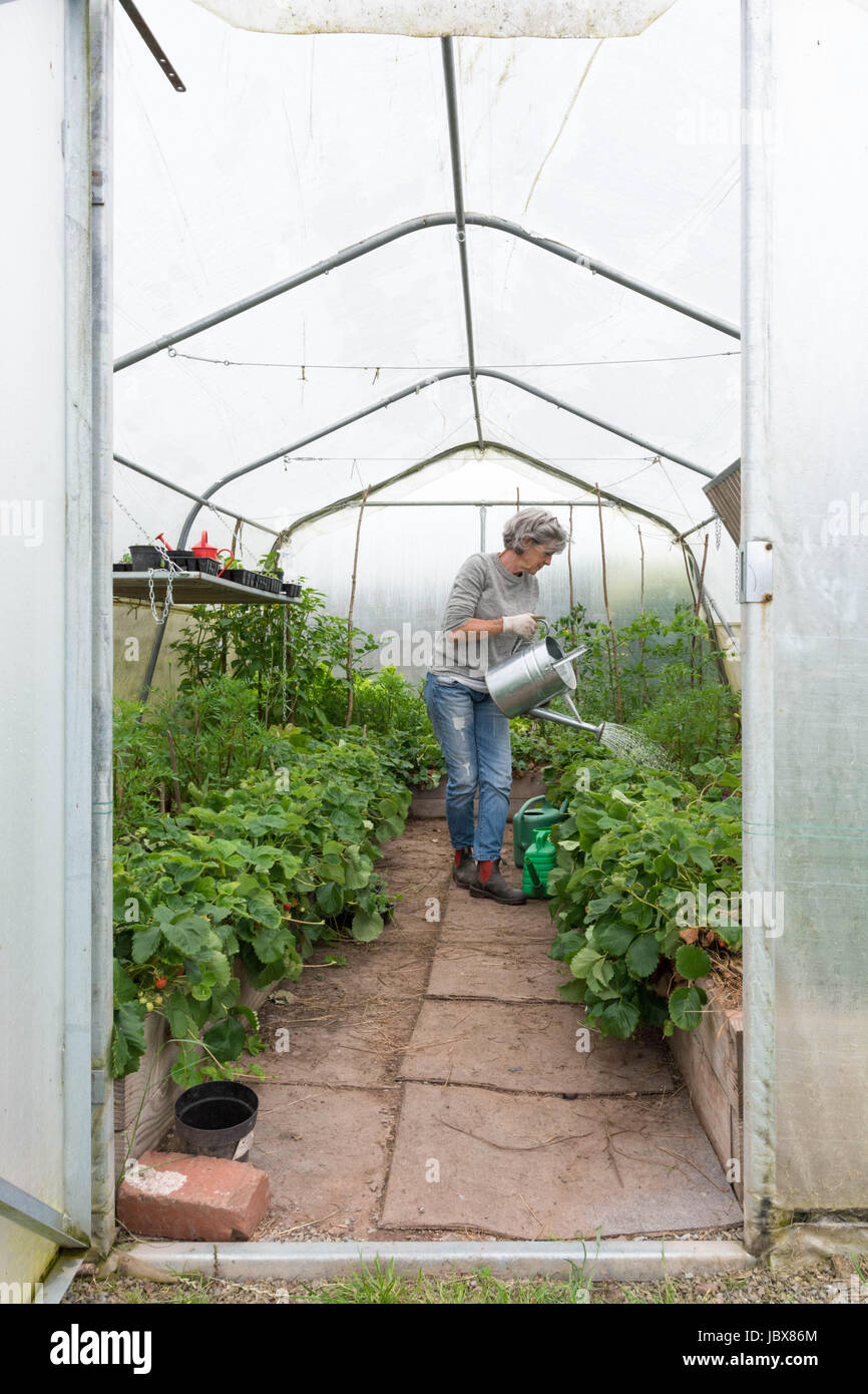 Old Lady Outside Gardening High Resolution Stock Photography and Images ...