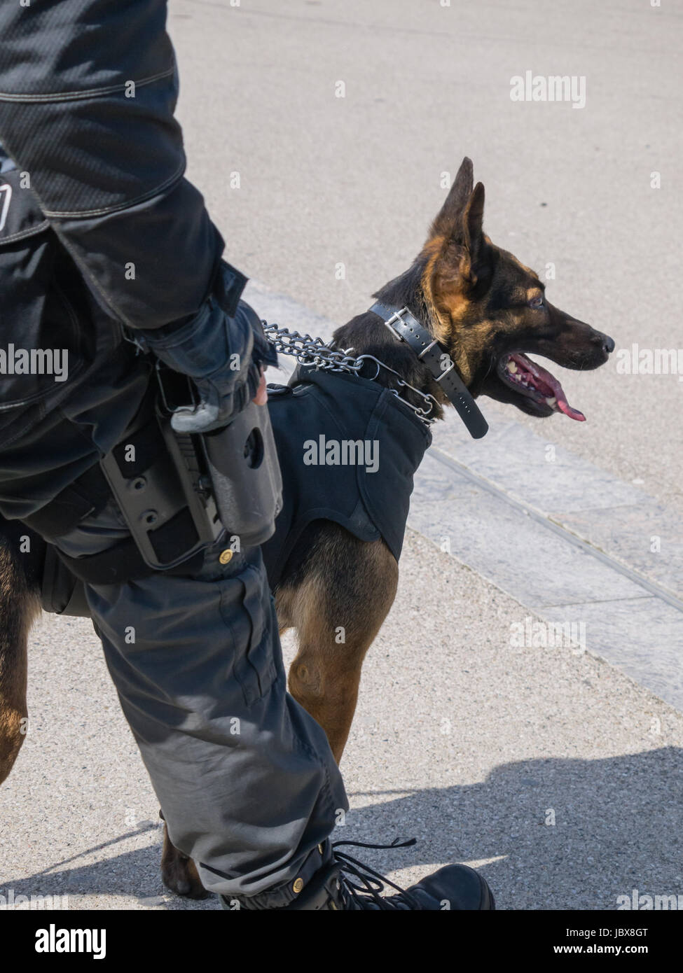ALMERE, NETHERLANDS - 12 APRIL 2014: Member of a SWAT team and his dog ...