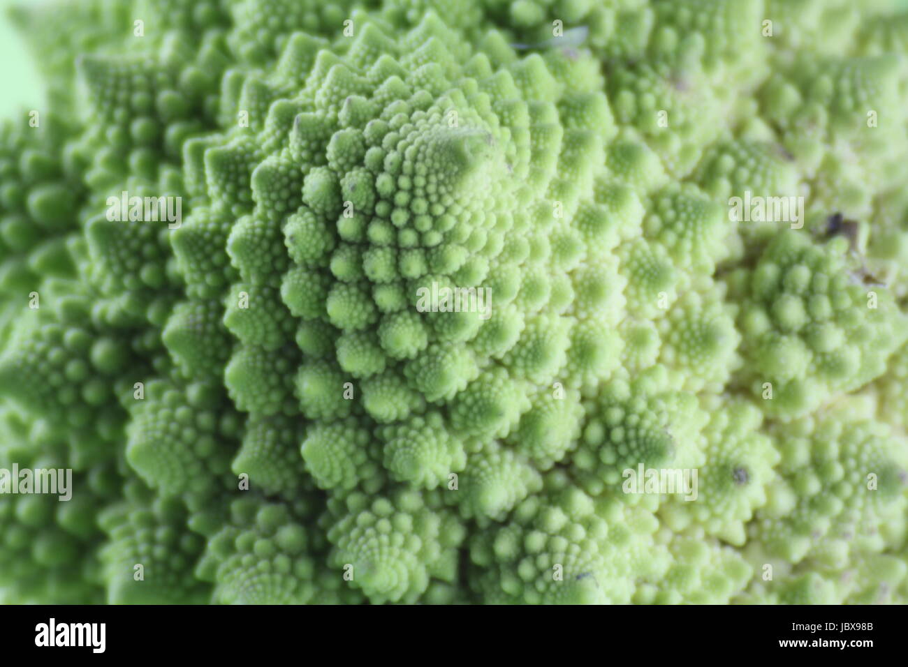 An image of a vegetable - romanesco Stock Photo - Alamy