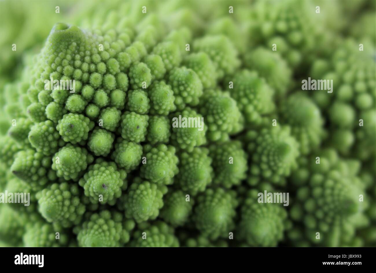 An image of a vegetable - romanesco Stock Photo - Alamy