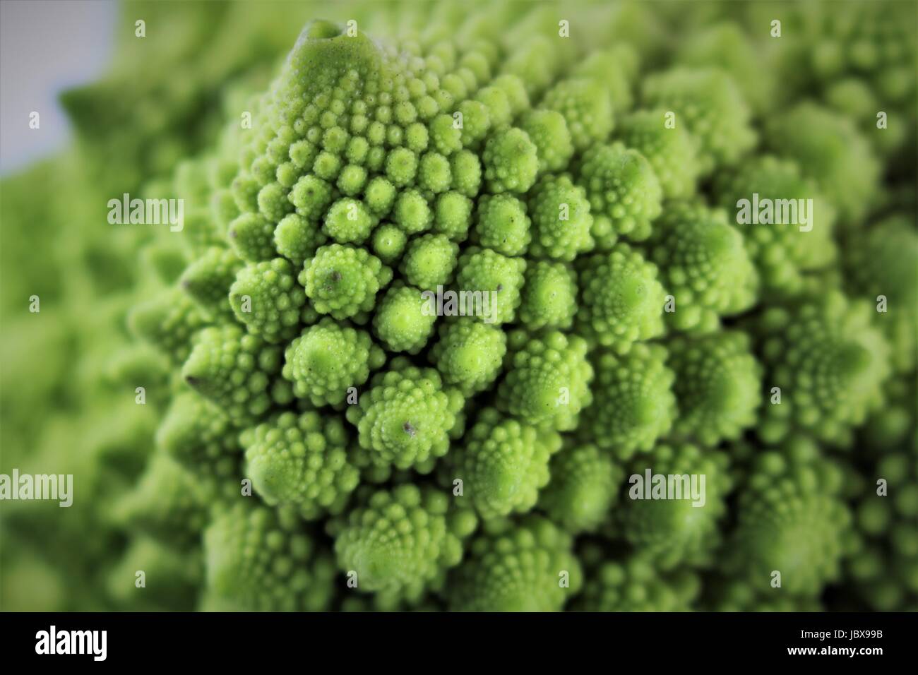 An image of a vegetable - romanesco Stock Photo - Alamy