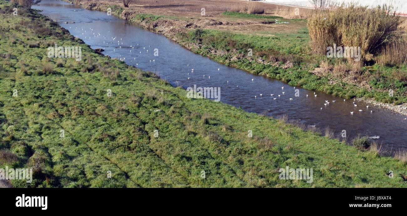 Delta of the besos hi-res stock photography and images - Alamy