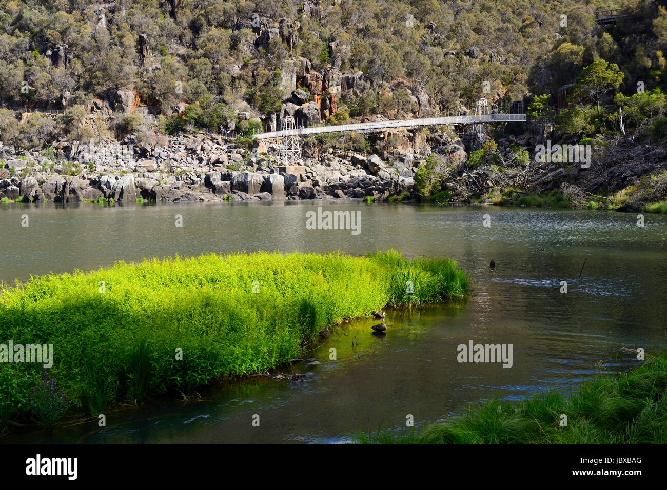 Alexandra Suspension Bridge (built 1904) above the First Basin on the ...