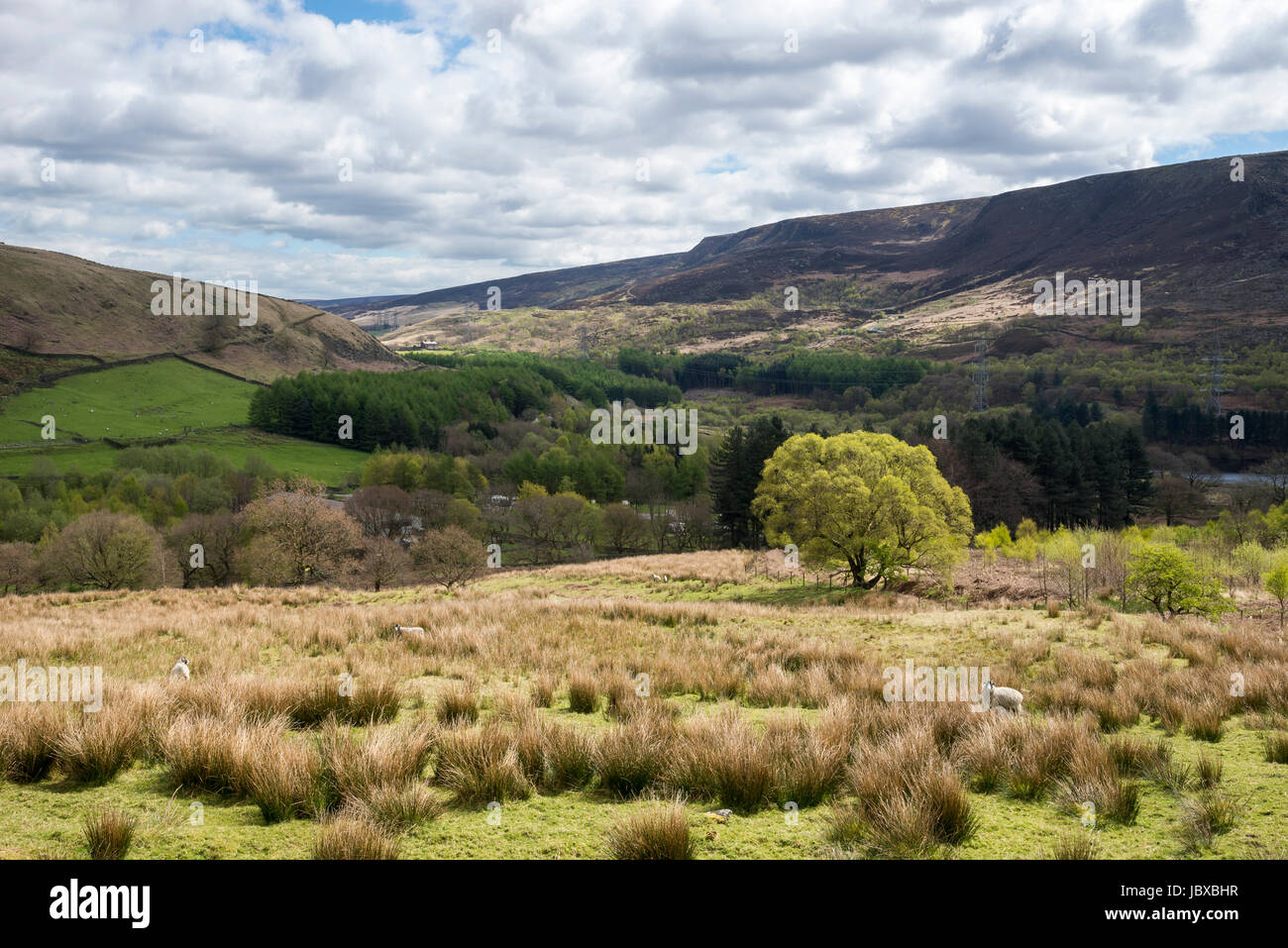 View of Crowden and the Longdendale valley, North Derbyshire, England ...