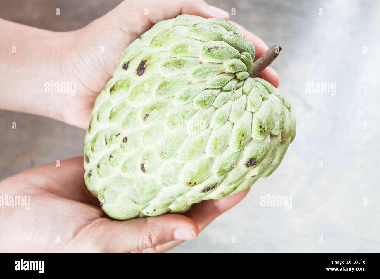 Custard apple tropical fruit soft hi-res stock photography and images ...