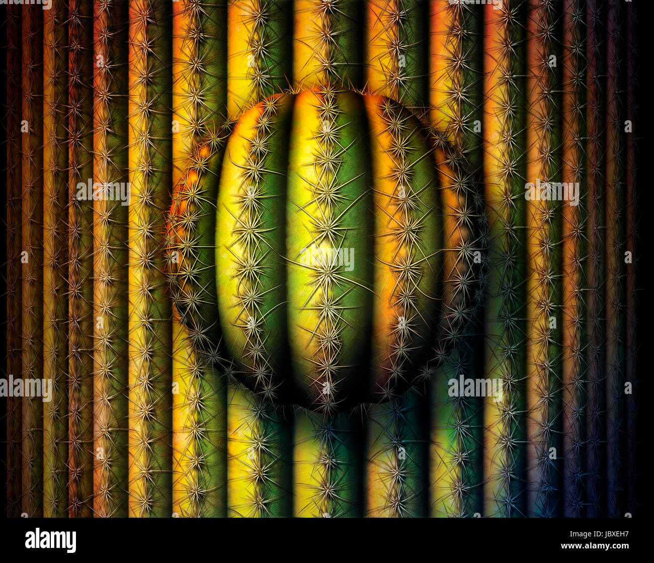 Cactus digital a hi-res stock photography and images - Alamy