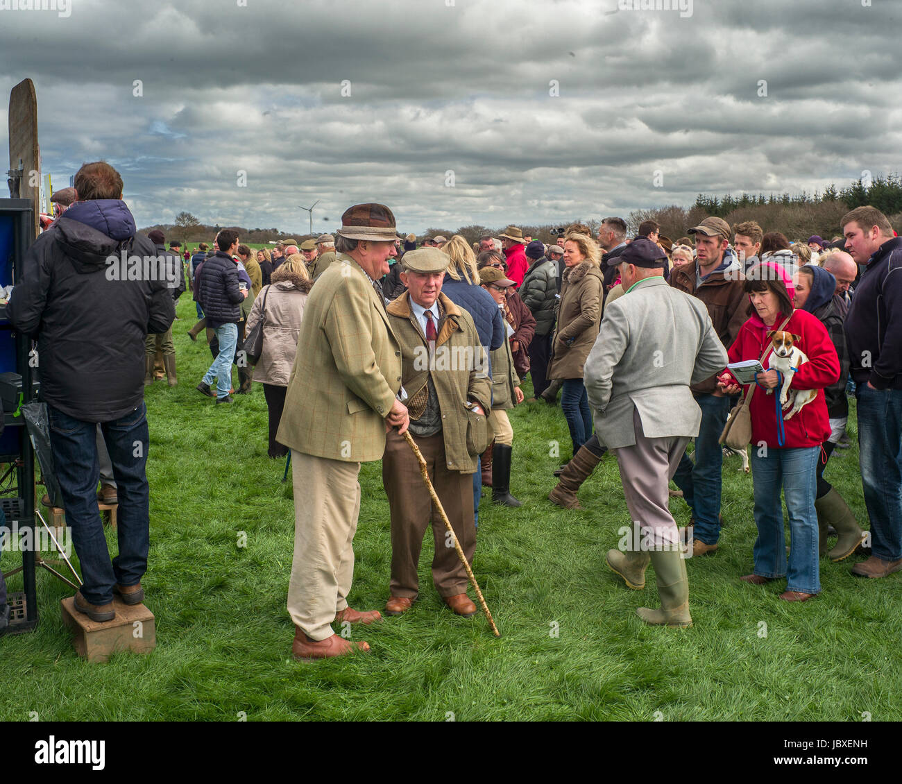 two gentleman talking in large crowd at point to point race meet ...