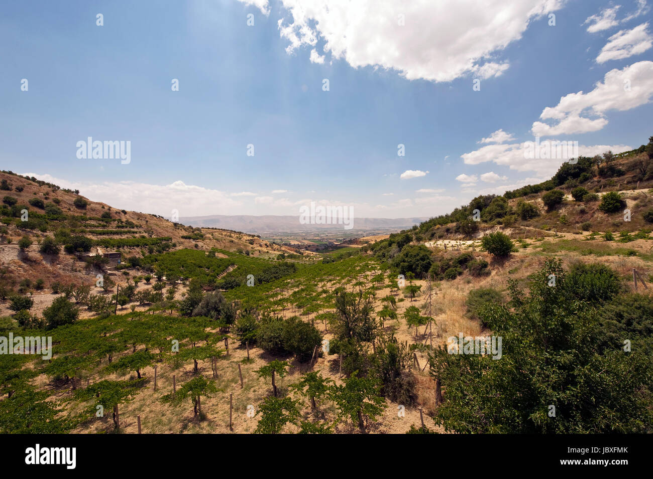 bekaa valley lebanon Stock Photo - Alamy
