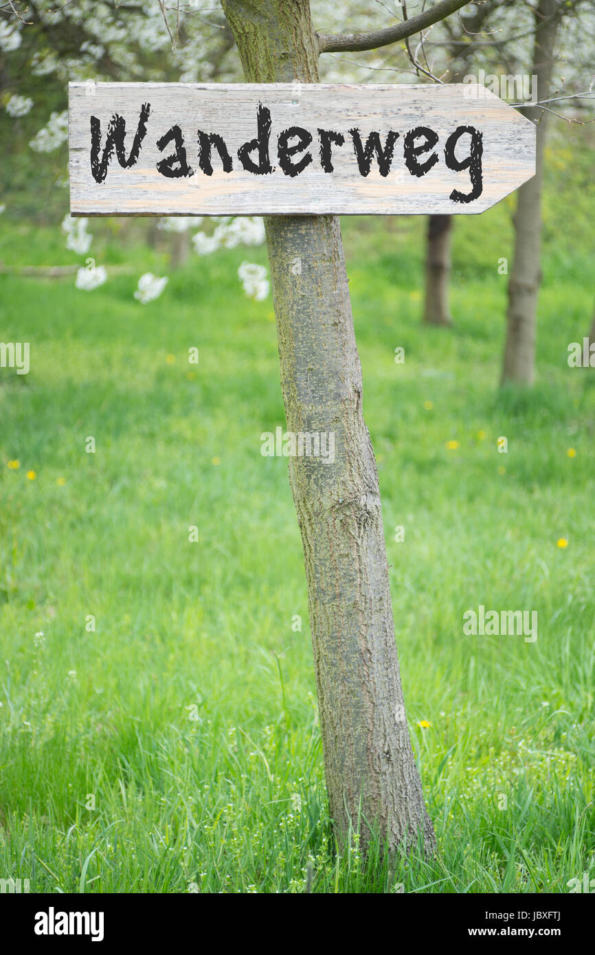 Wooden sign on a tree - walking trail Stock Photo - Alamy