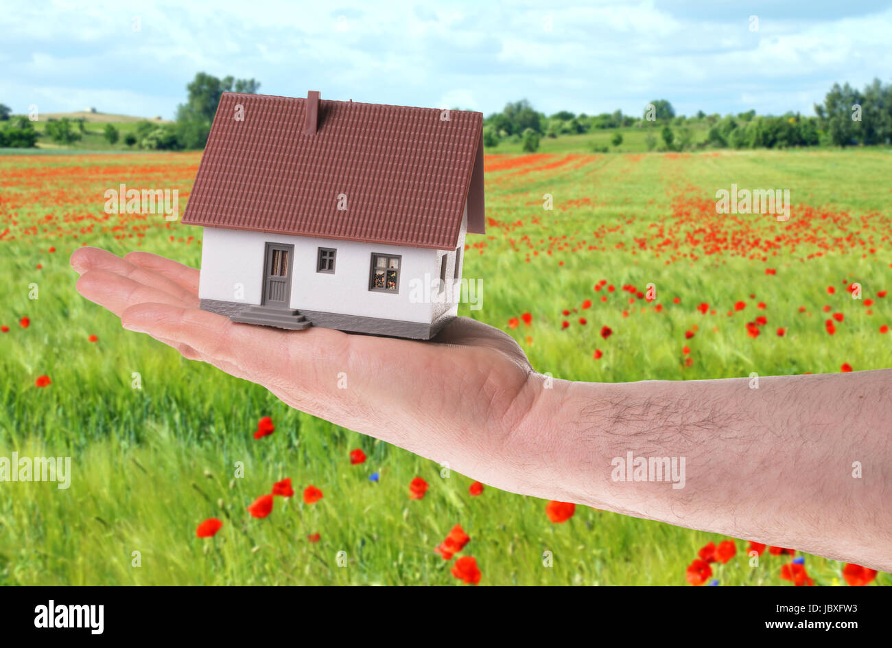hand holding a small house in the countryside Stock Photo - Alamy