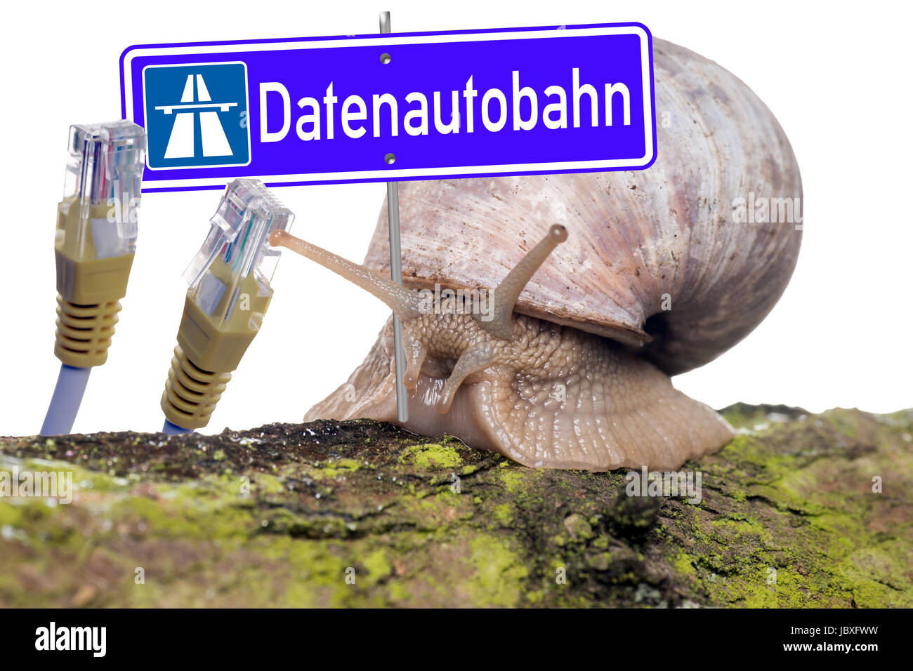 Snail with network cable and shield with the german words Data Highway ...