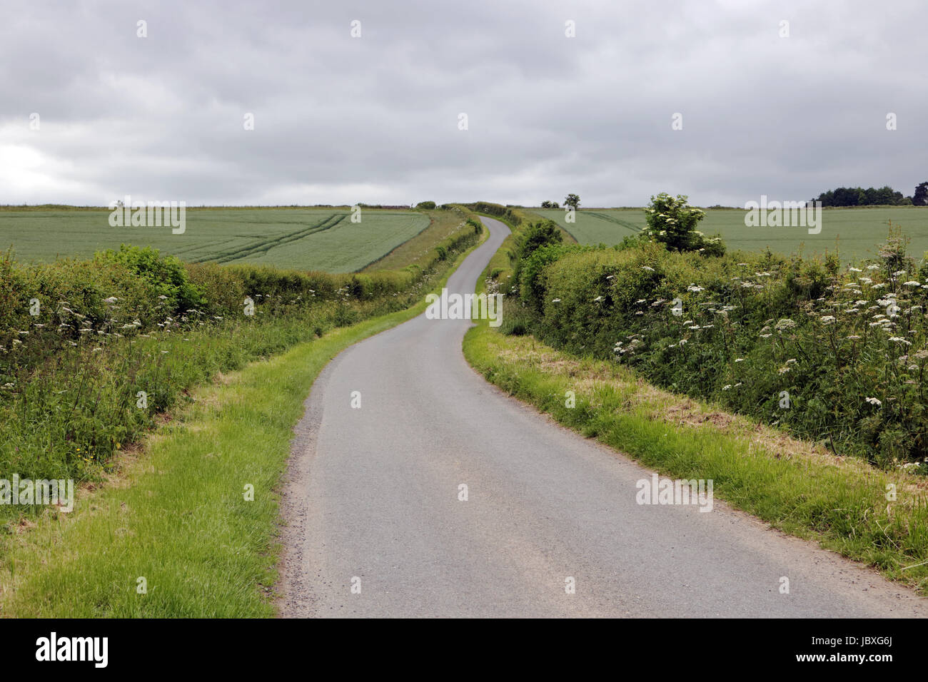 Empty road through the English countryside in the Cotswolds near Kemble ...