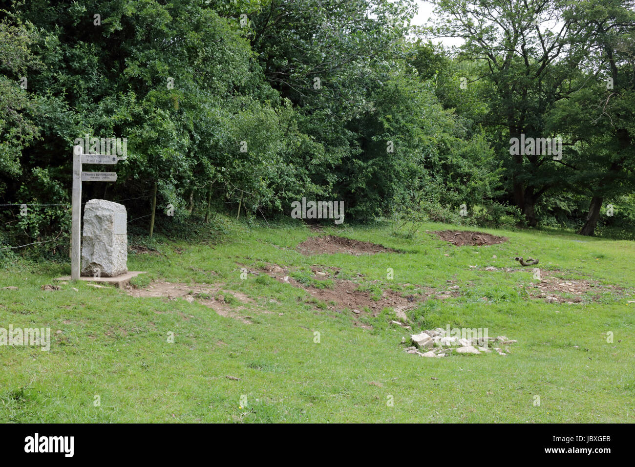The River Thames Source or Head near Kemble Gloucestershire UK Stock ...
