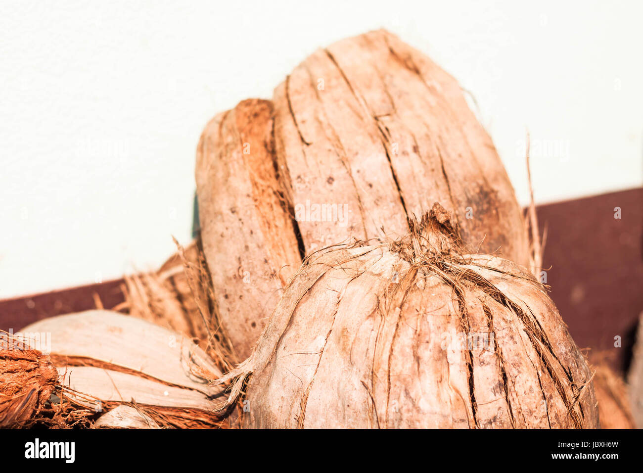Coir or coconut fiber texture dry outdoors Stock Photo - Alamy
