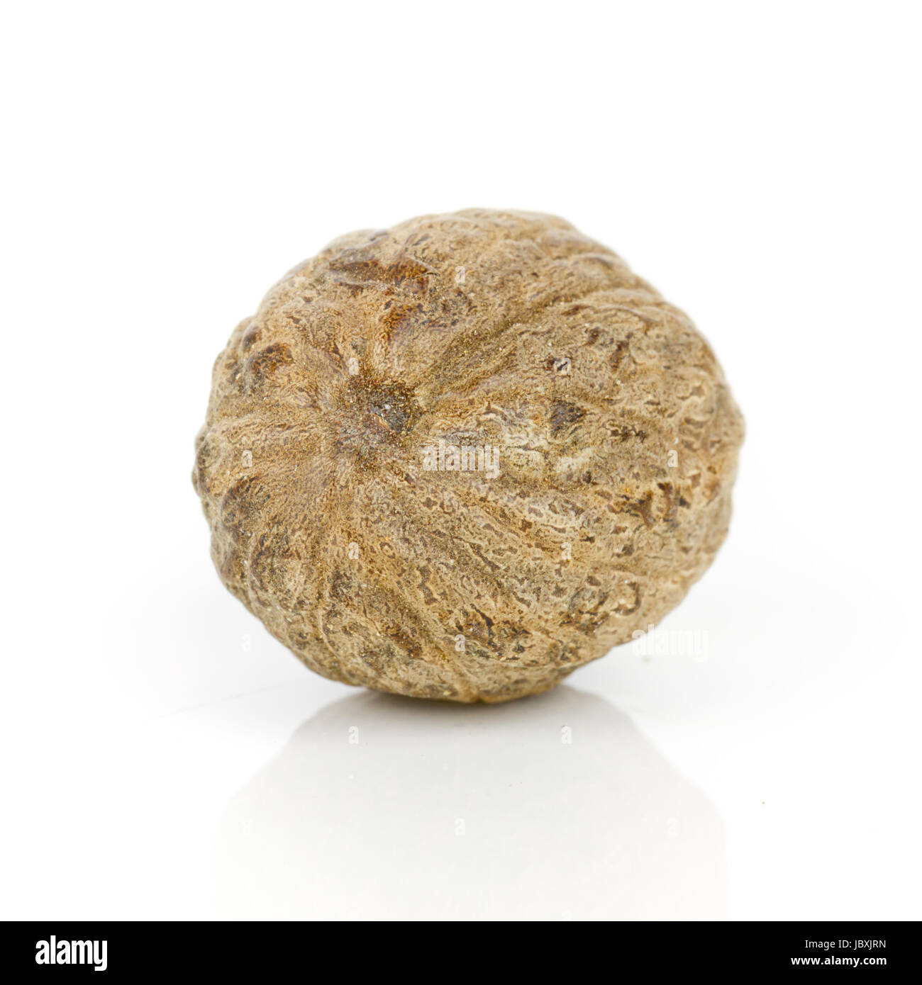 Muskatnuss hi-res stock photography and images - Alamy
