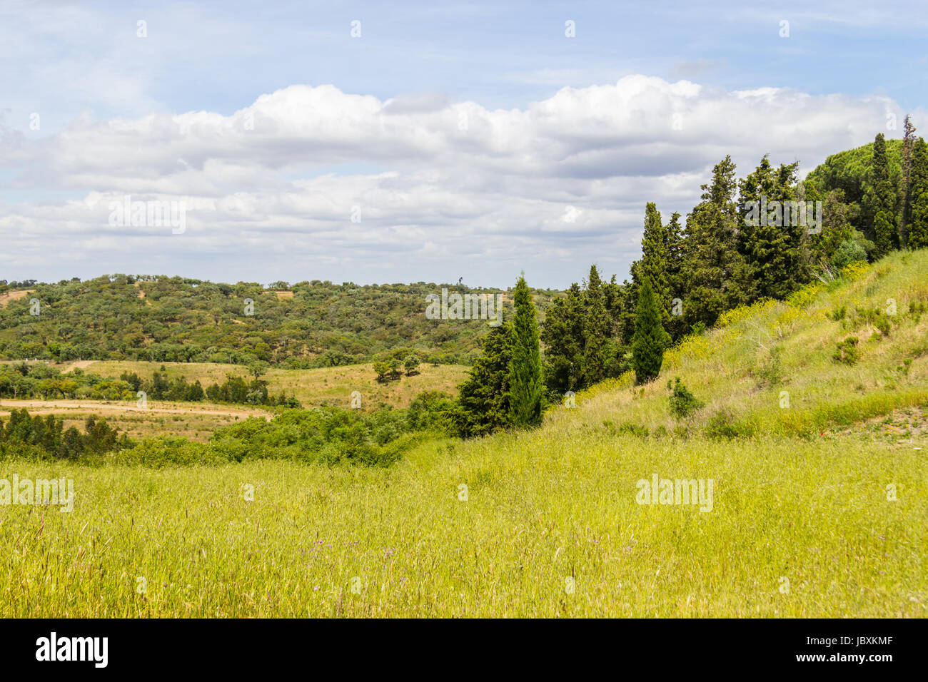 Cacem hi-res stock photography and images - Alamy