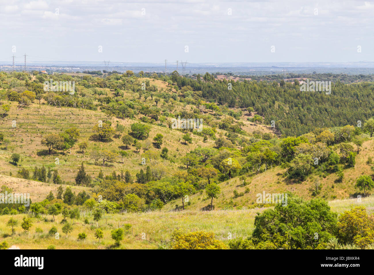 Farm in Santiago do Cacem, Alentejo, Portugal Stock Photo - Alamy