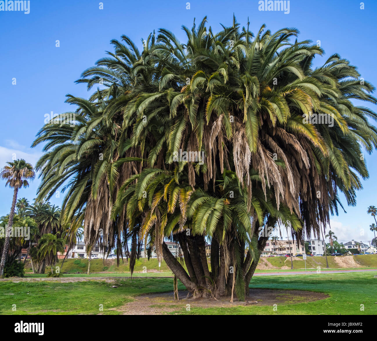 Crown point park san diego hi-res stock photography and images - Alamy