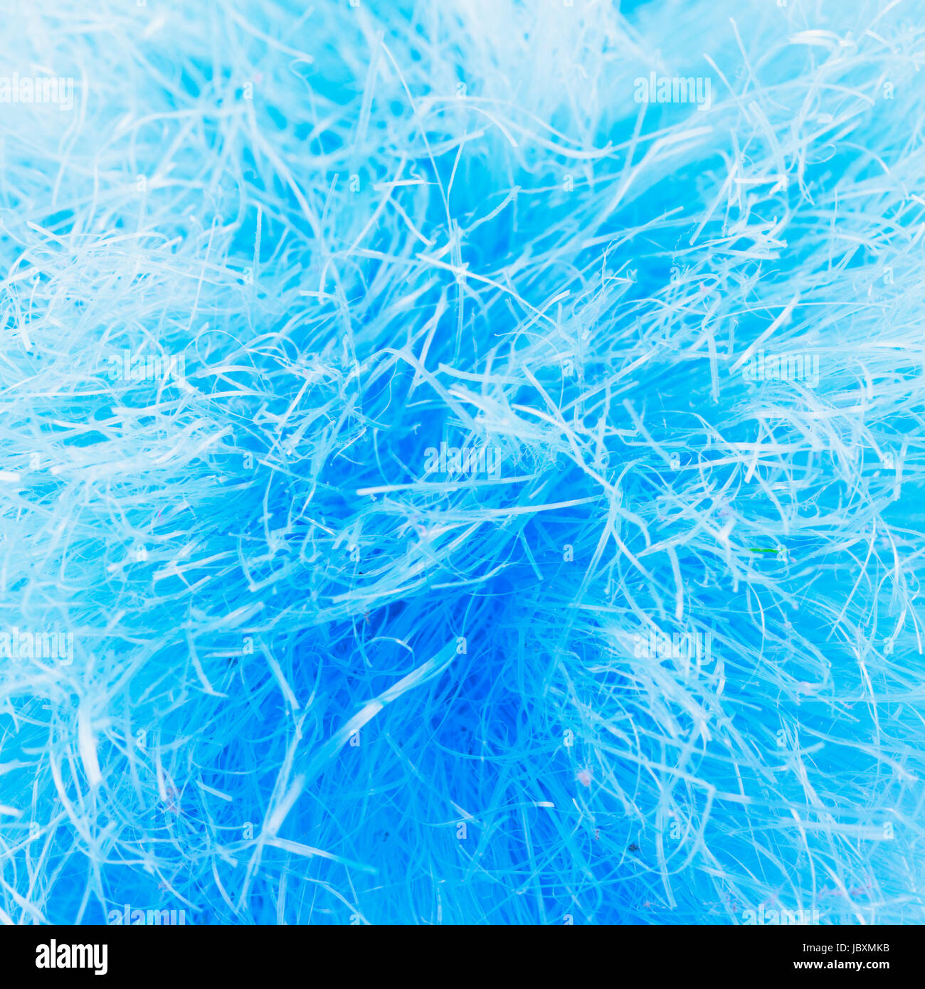 Blue feather duster in strict close up Stock Photo - Alamy