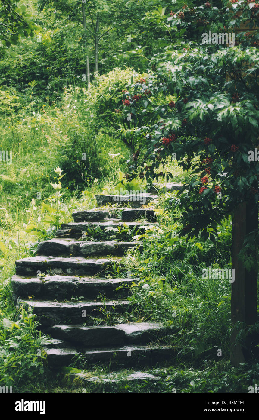 Stairs in the park Stock Photo - Alamy