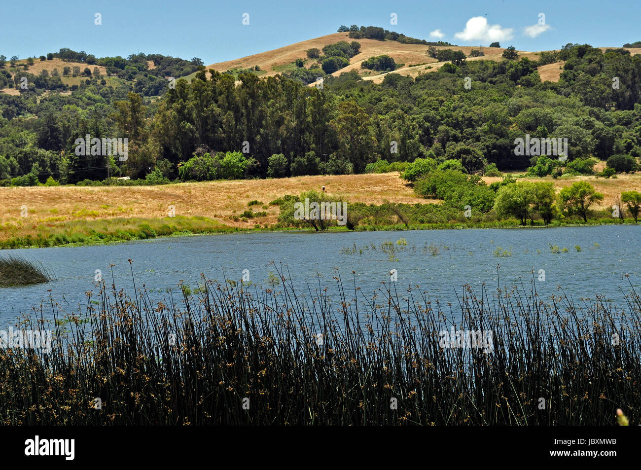 Grant Lake, lake, Joseph D. Grant County Park, Santa Clara County ...