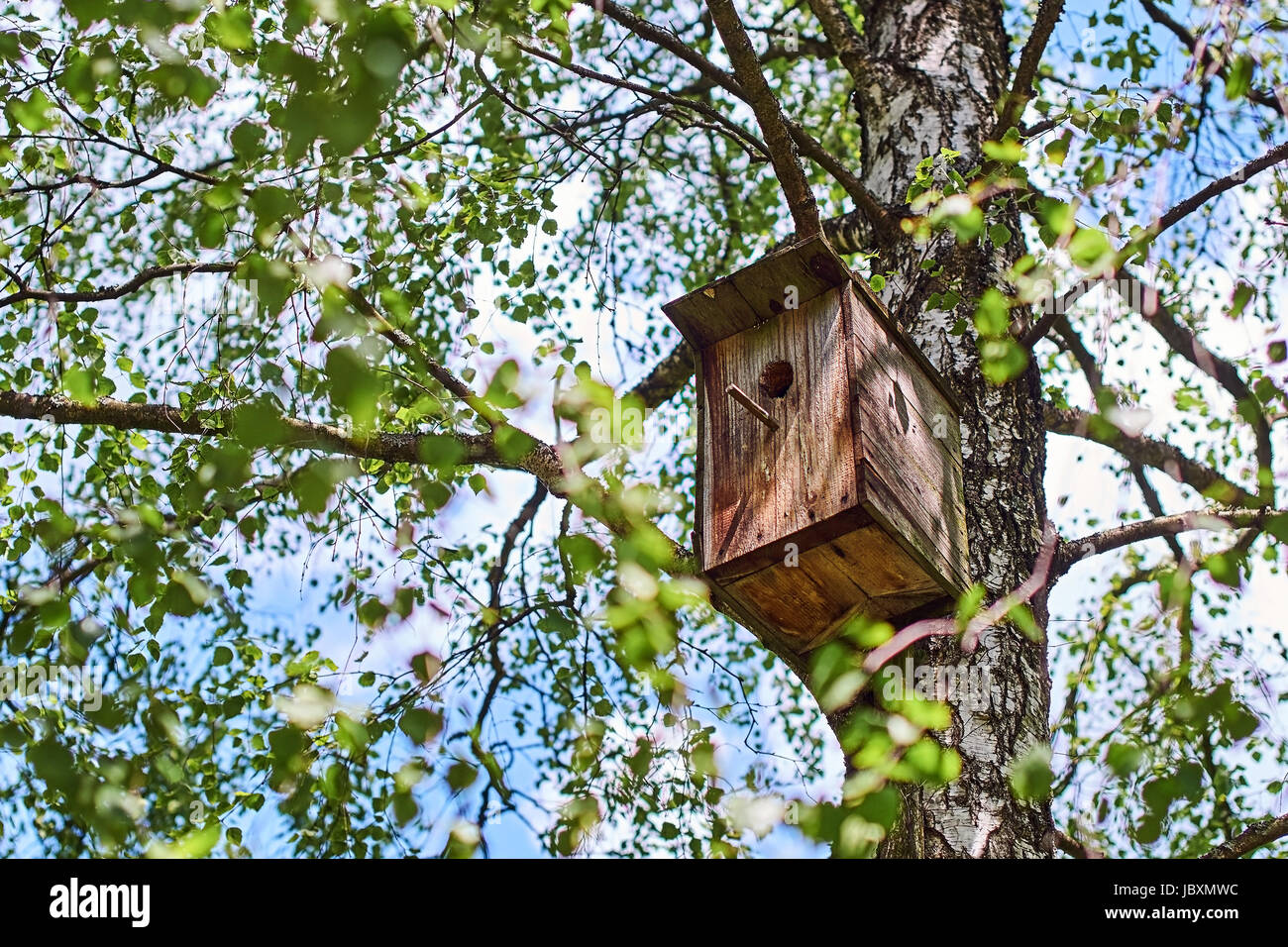 Box attached to tree trunk hi-res stock photography and images - Alamy