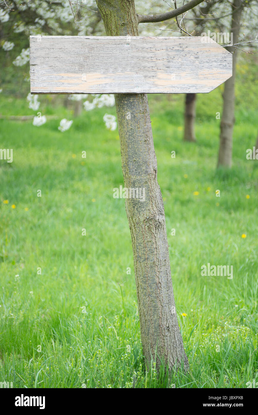 Wooden sign on a tree Stock Photo - Alamy
